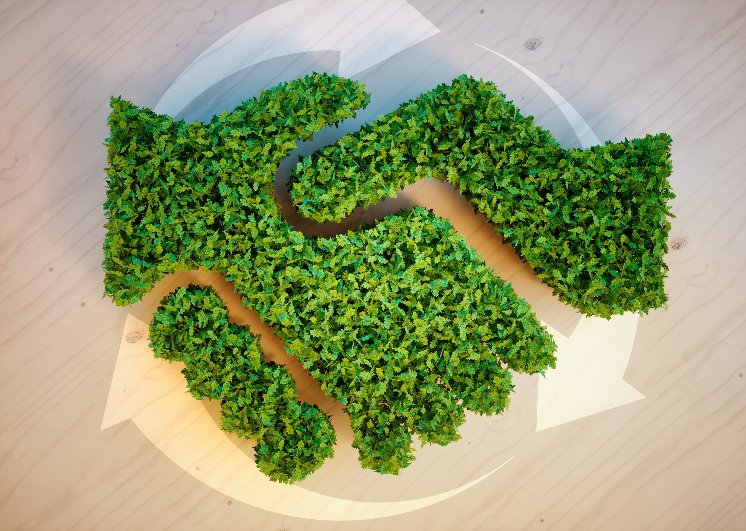 Going green - our goal to become carbon neutral - Davlav